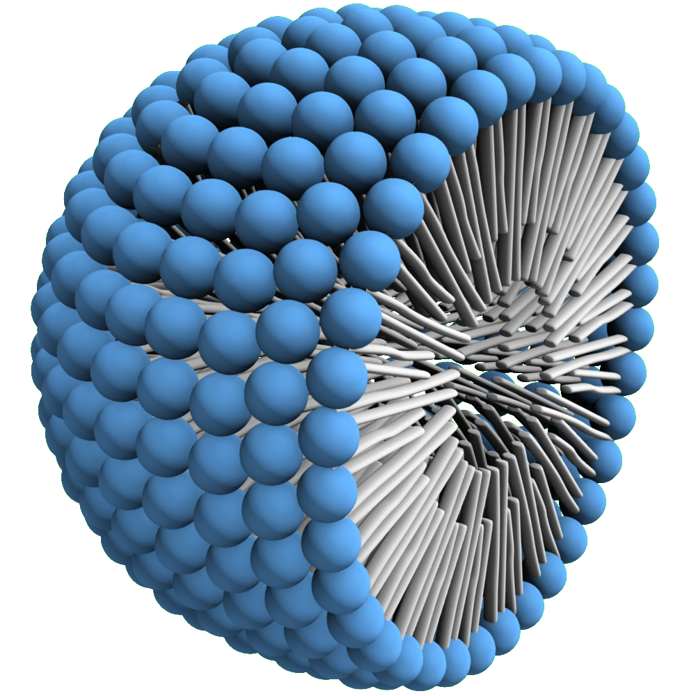 Bioquímica da Célula: Água e Sua Importância Biológica