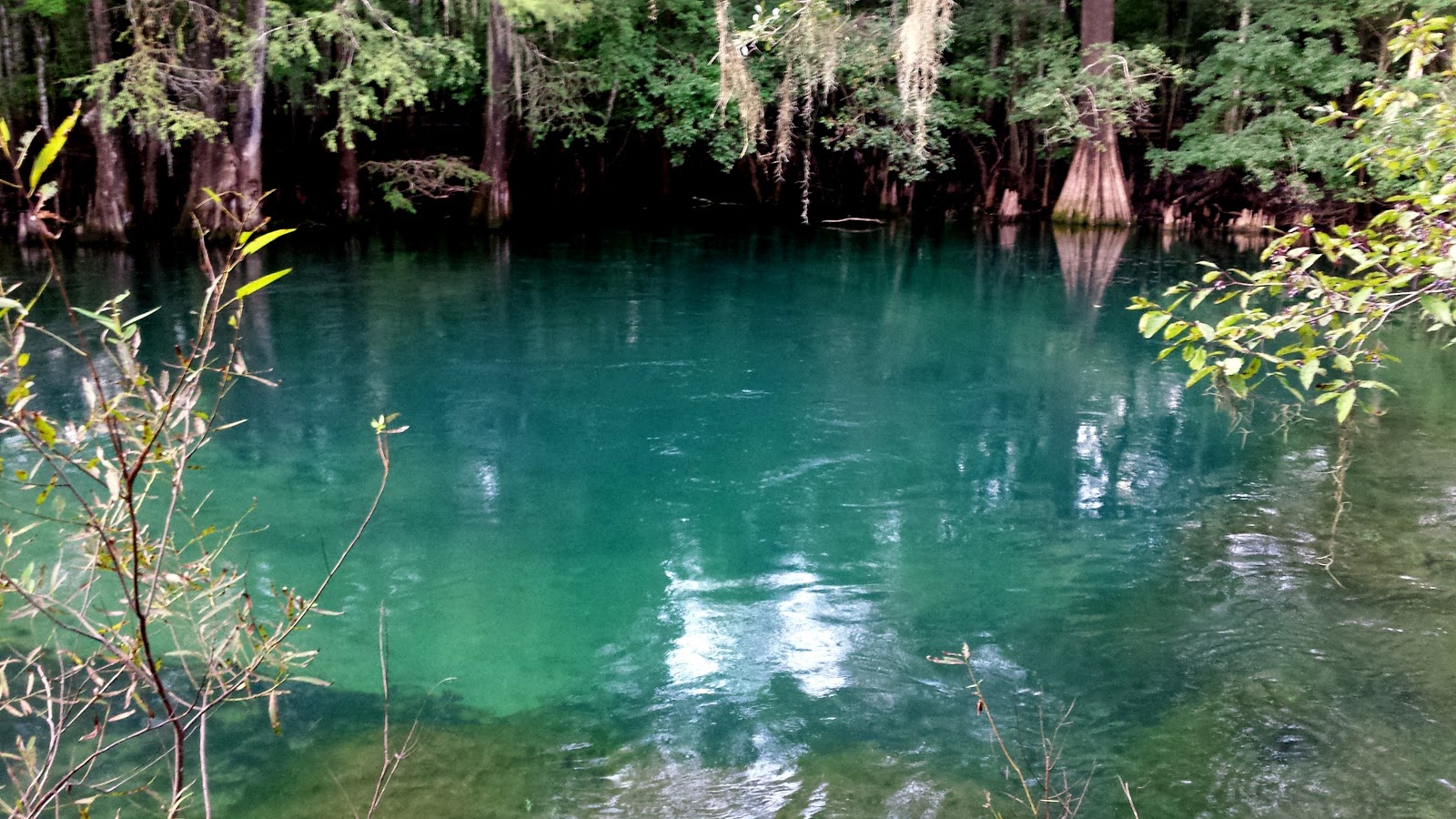 Sleeps Two: Manatee Springs State Park