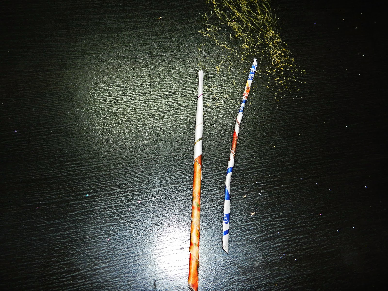 Creative DIY crafts: Coconut shell crafts