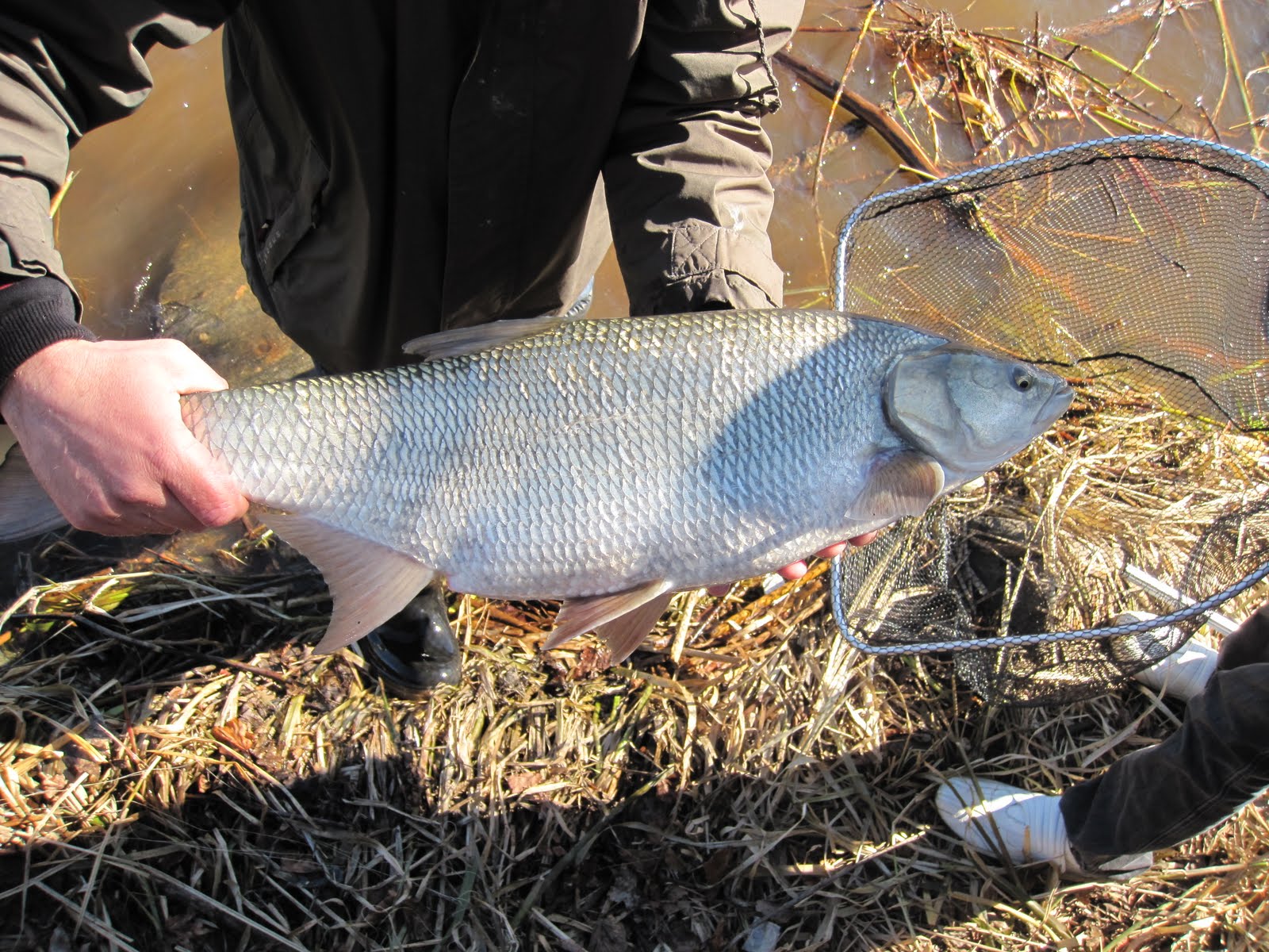 Marrans fiske: Fiske i Tidan med nytt personbästa!