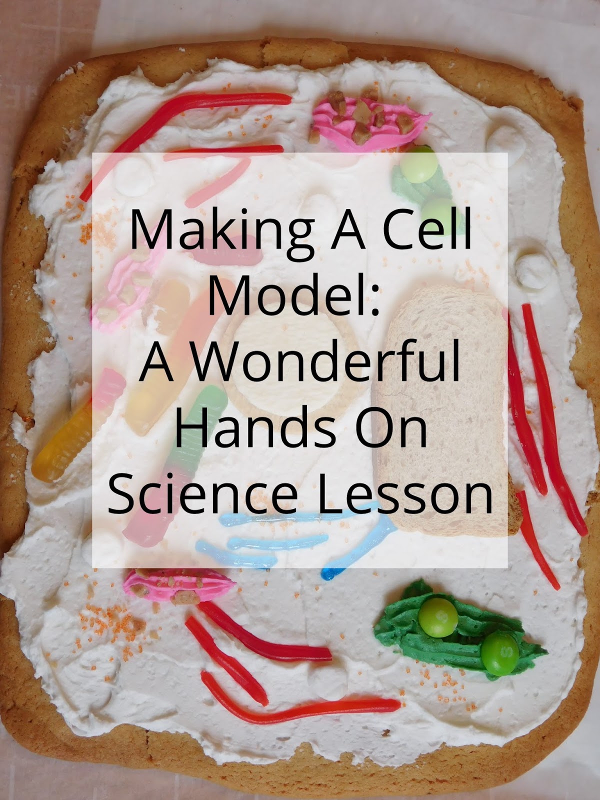 100 Days of Science #56-- Making Cell Models