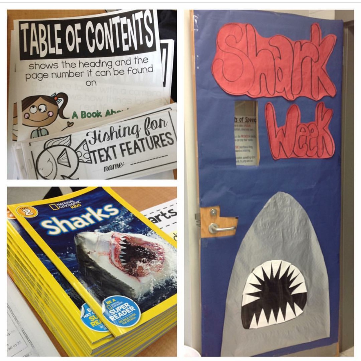 Shark Week SALE with some Freebies! - Queen of the First Grade Jungle