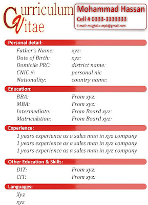 CV Format Vol 1 - Soft Insta