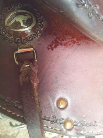 Foundation Reining Training Centre: SOLD. For Sale: Clinton Anderson ...