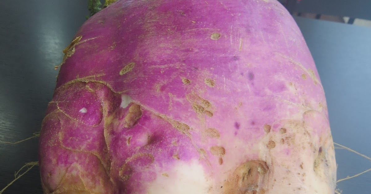 DOLETHES: ÉS UM GRANDE NABO! E, É.