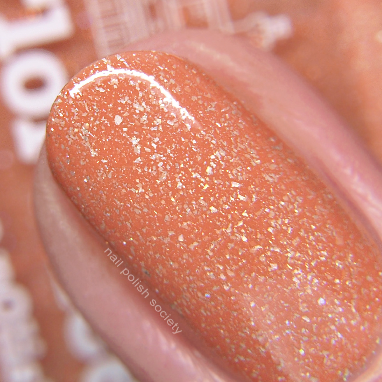 Nail Polish Society: piCture pOlish Spring 2018 Shades Swatches and ...