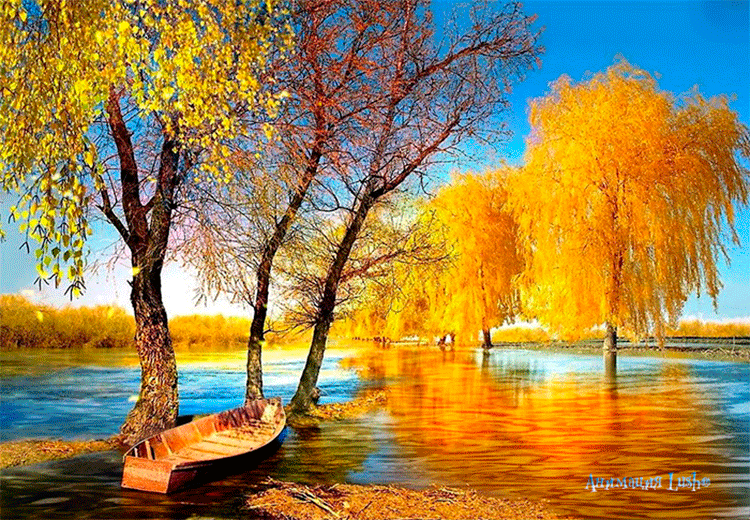 Decent Image Scraps: Nature Animation