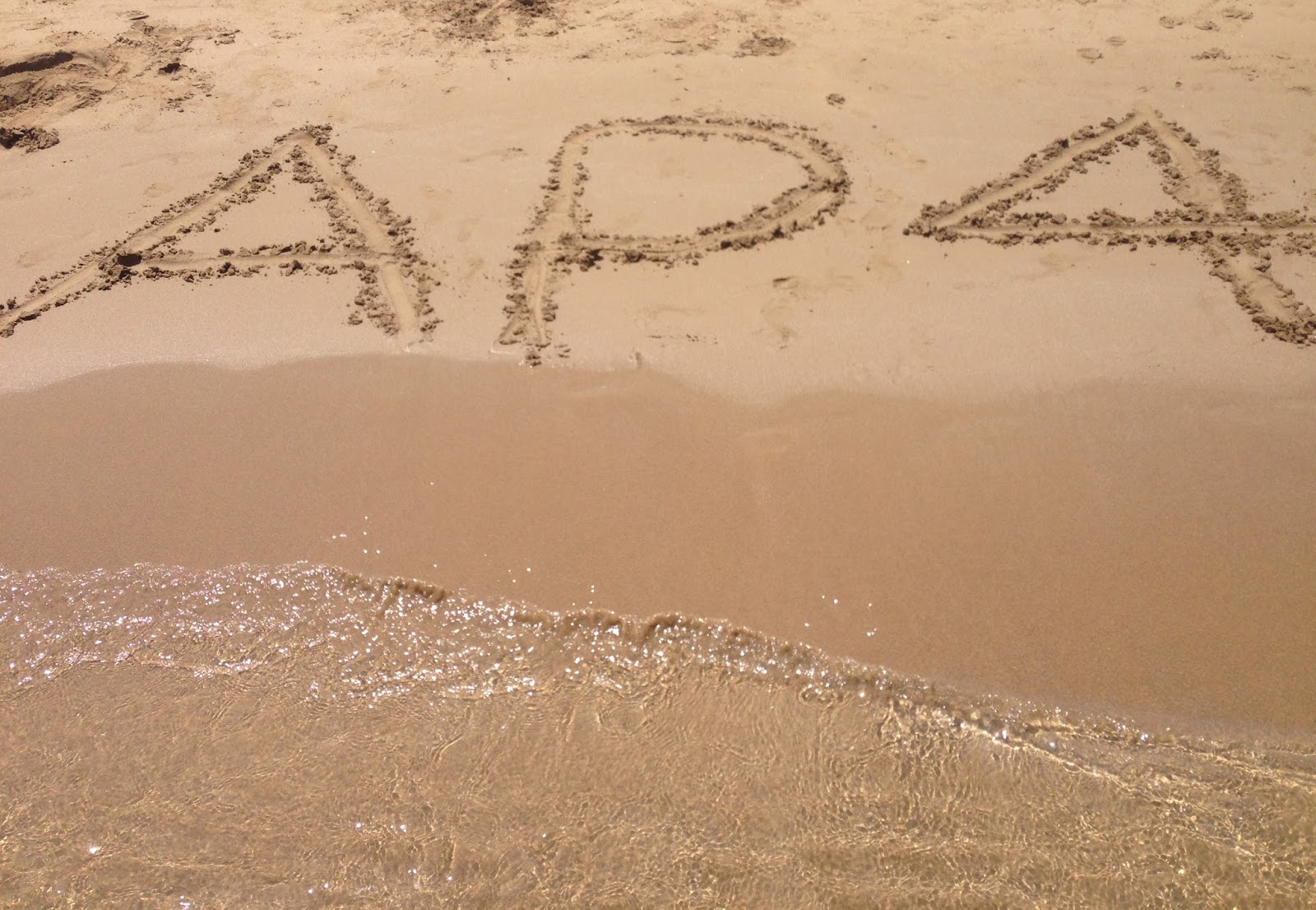 AP4 Project Managers Blog