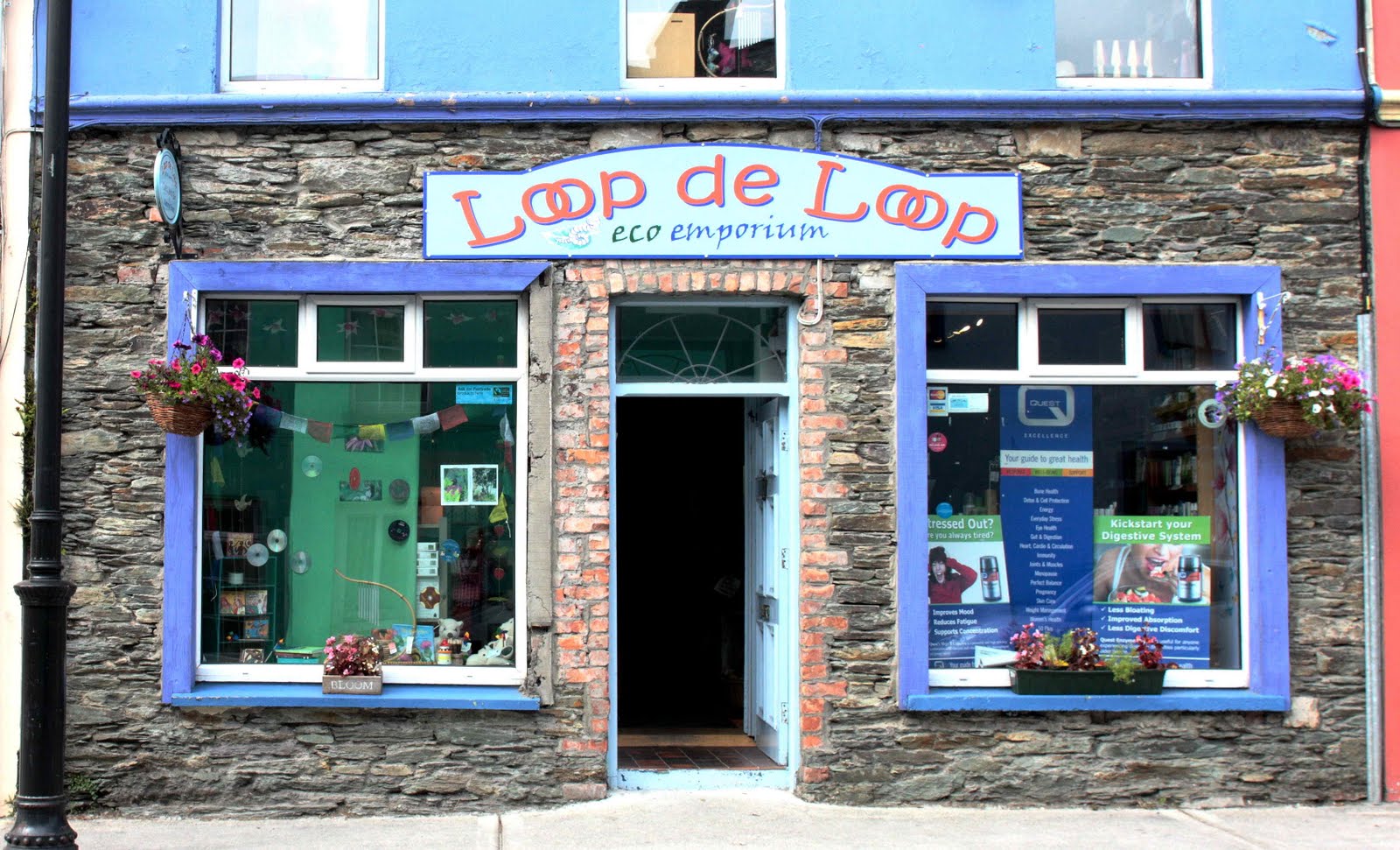 Survival Guide: Dublin with Food Allergies: Eating Allergy Free in West ...