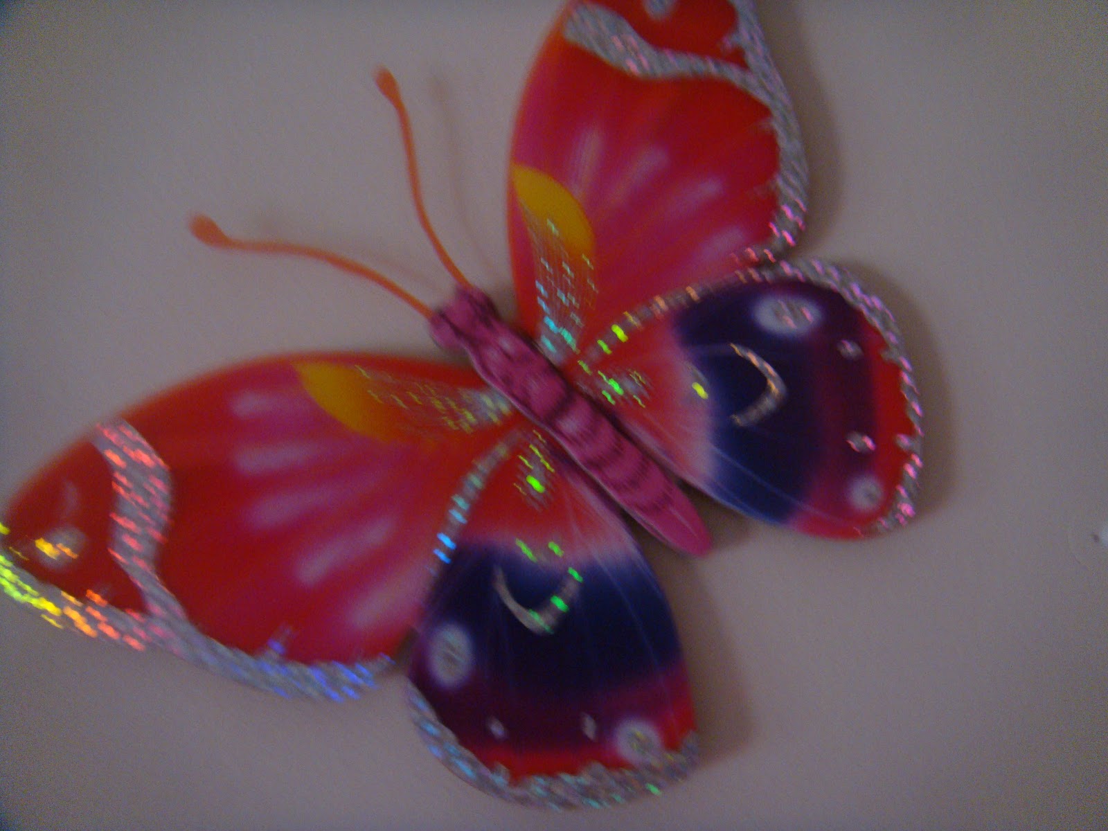 la mariposa de mi patio