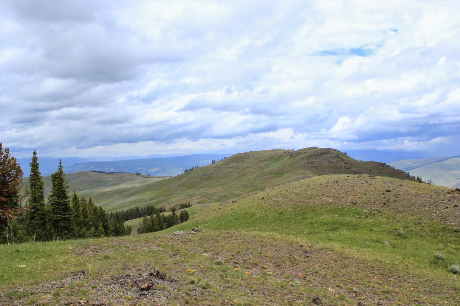 A Yellowstone Summer : Specimen Ridge