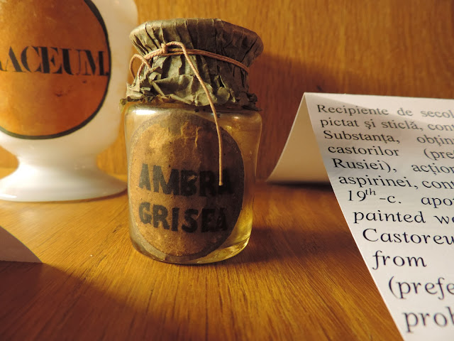 (un)intentional contemporary art in Transylvania: Ambra grisea ...