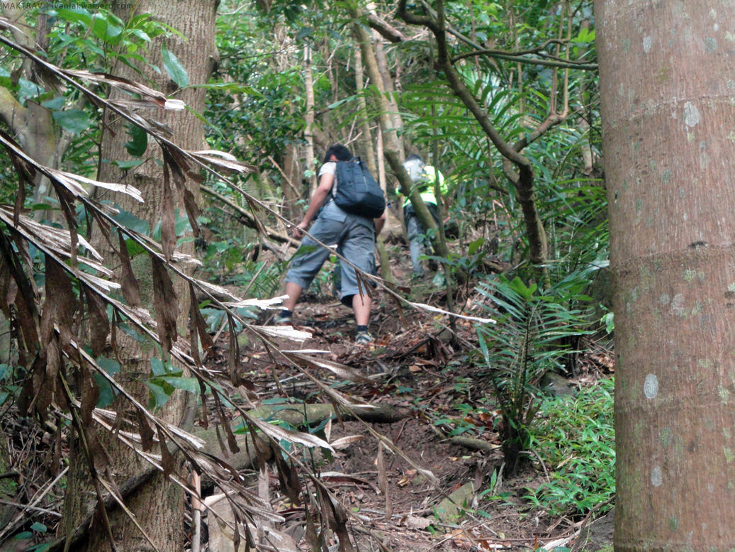 Batang Lakwatsero: Mt. Makiling (MakTrav) | Sipit Trail