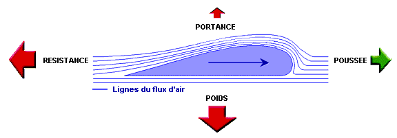 L'aviation de Lucas Silem : Au cœur de l'avion en lui même
