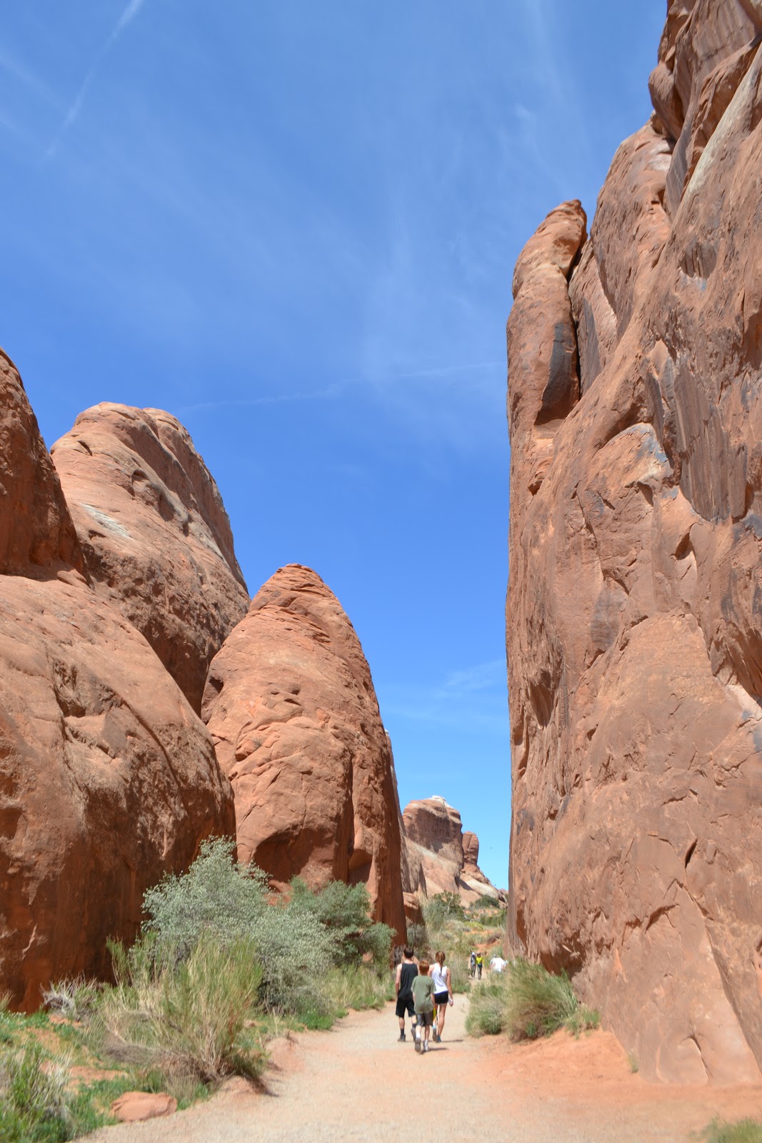 by the hair of my chinny chin chin: Devils Garden - Arches National ...