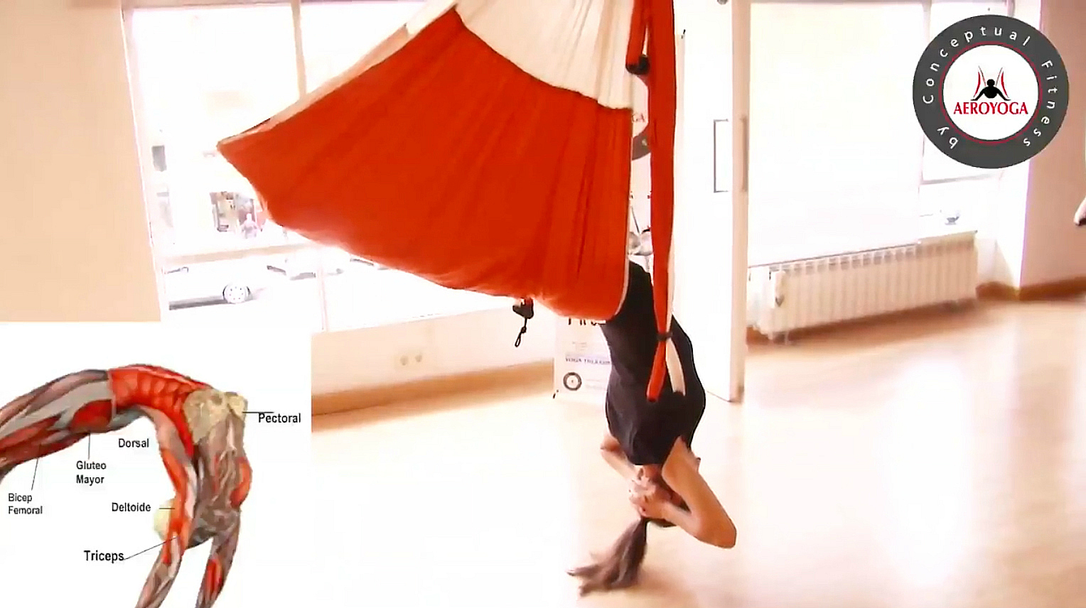 Aerial Yoga: Aerial Pilates Teacher Training. AeroPilates ® Institute ...