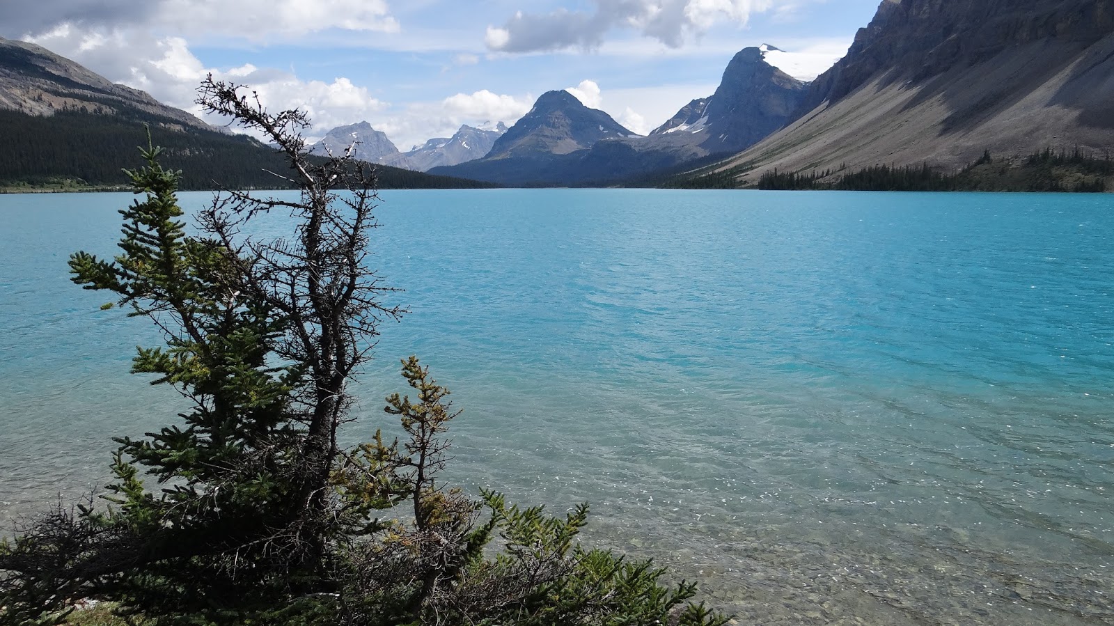 Cuchette au Canada: Lac Bow / 8 Août