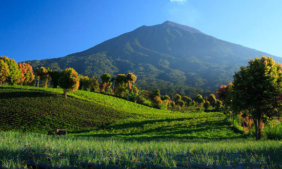 Bukit Barisan Selatan National Park | TRIP ADVISOR INDONESIA