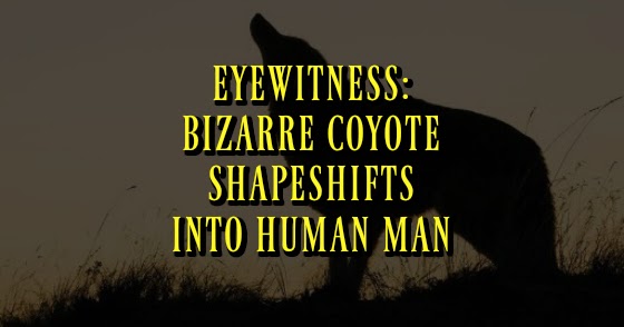 Phantoms and Monsters - Real Cryptid Encounter Reports - Fortean ...