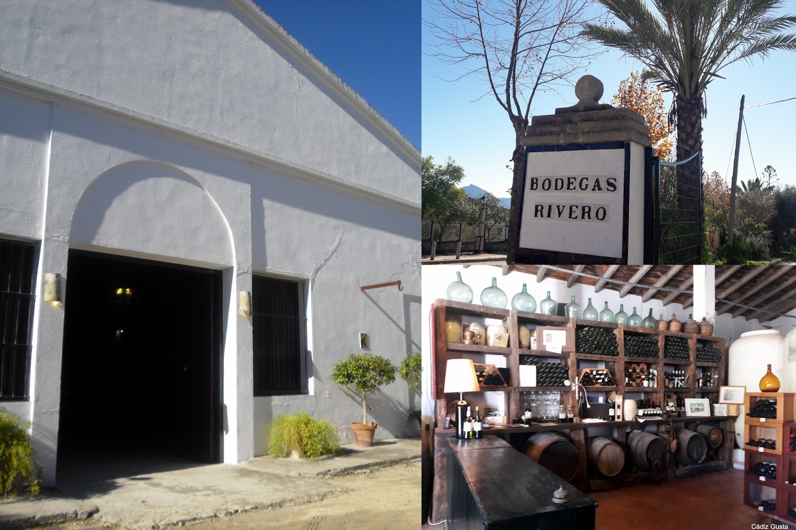 Cádiz Gusta -Revista de Activismo Gastronómico: Bodegas Rivero (Prado ...