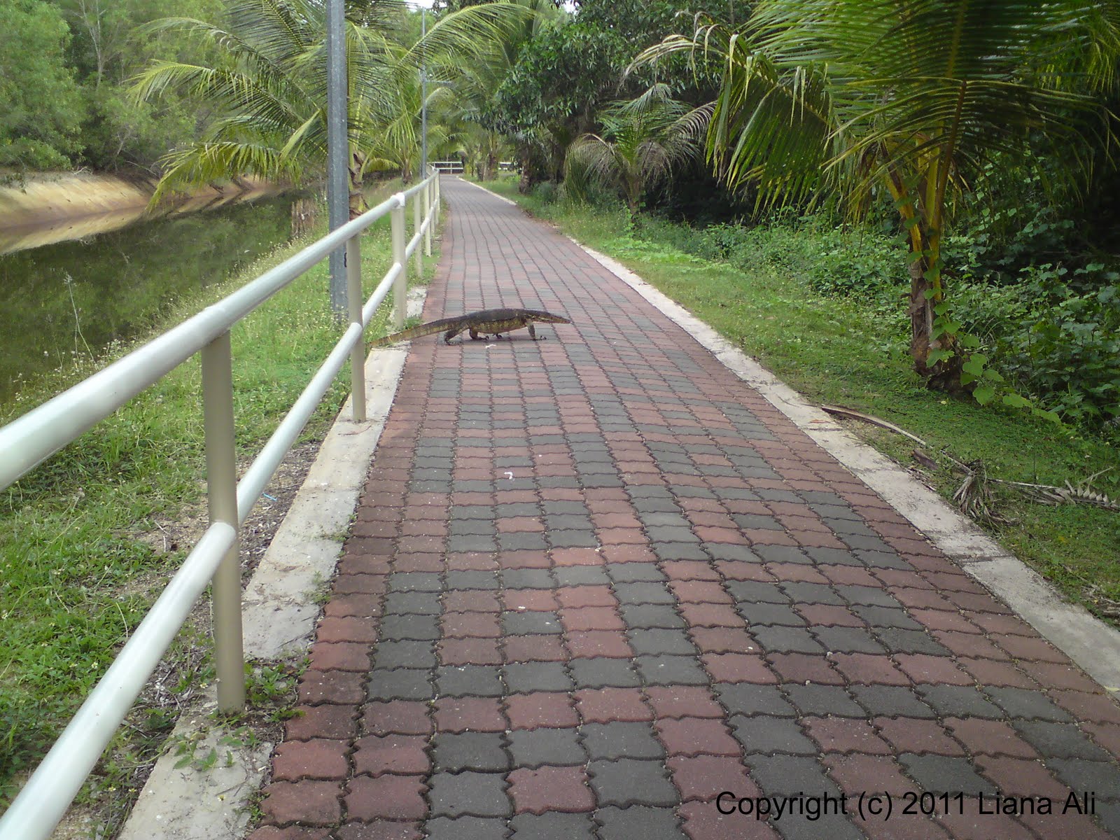 Kenali Universiti Malaysia Terengganu.