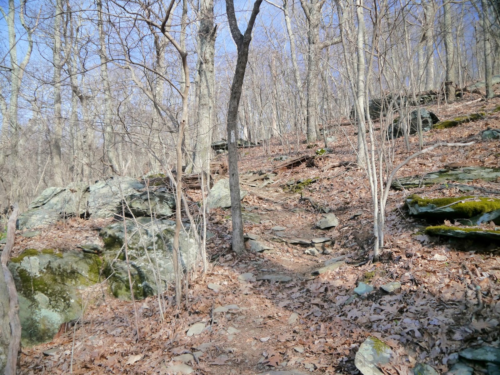 American Travel Journal: Rockfish Gap to McCormick Gap - Appalachian ...