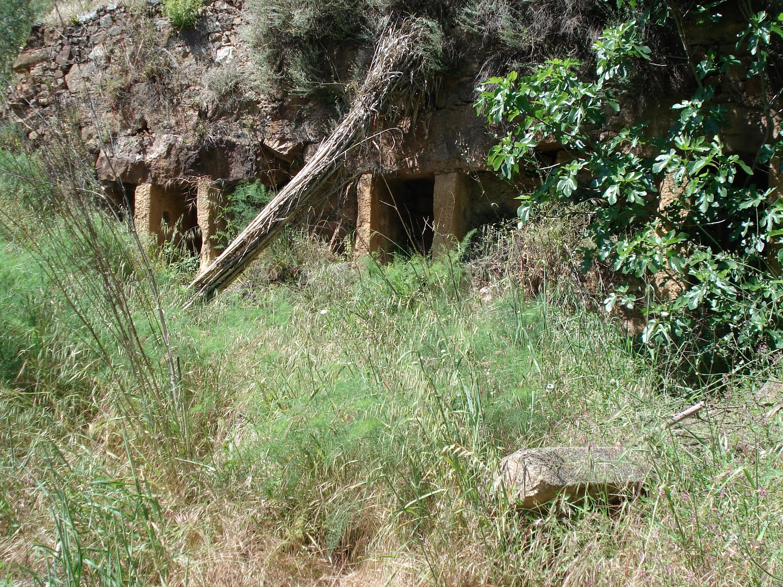 Tactiboqueando: Lagares de Vinho e de Azeite