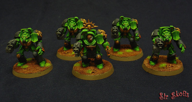 Sir Skofis's Workshop: Space Marines Terminator Squad and Terminator ...