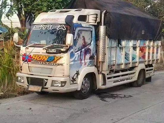 Modifikasi Mitsubishi canter White ~ Canter Modification