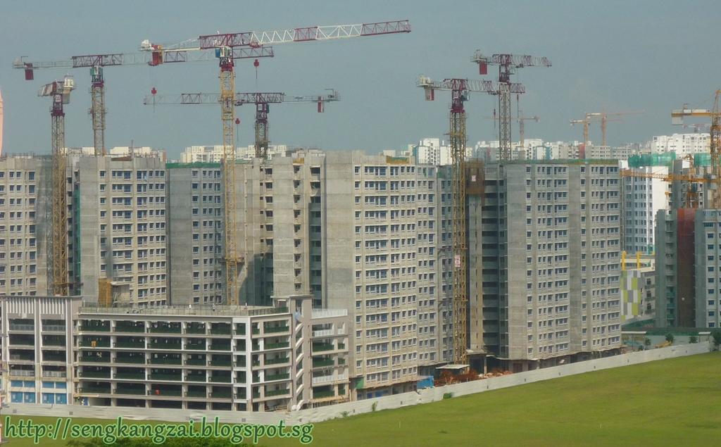 Zai@Sengkang: Anchorvale Isles (Yr 13 Wk 23)