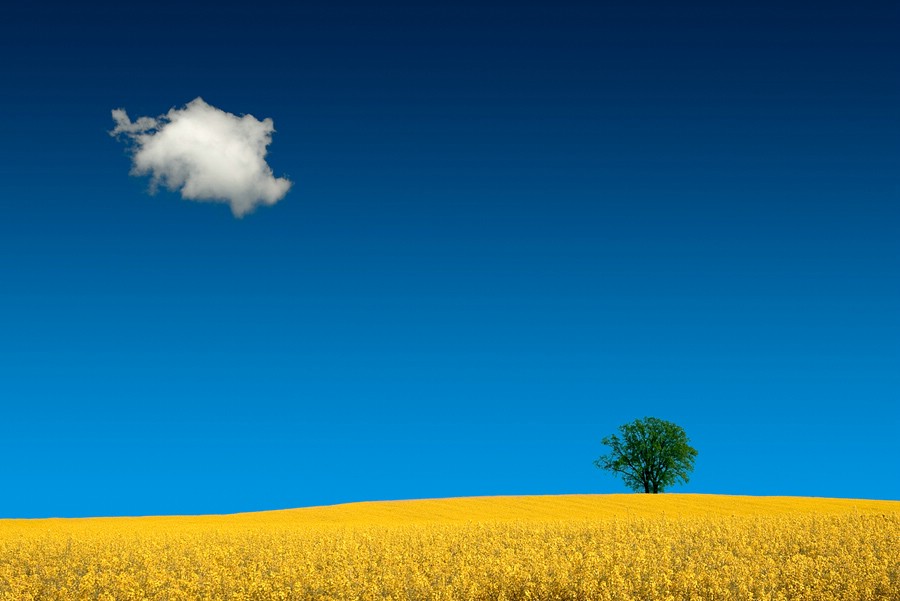 Beautiful World : Fresh Collection of Cool and Funny Pics