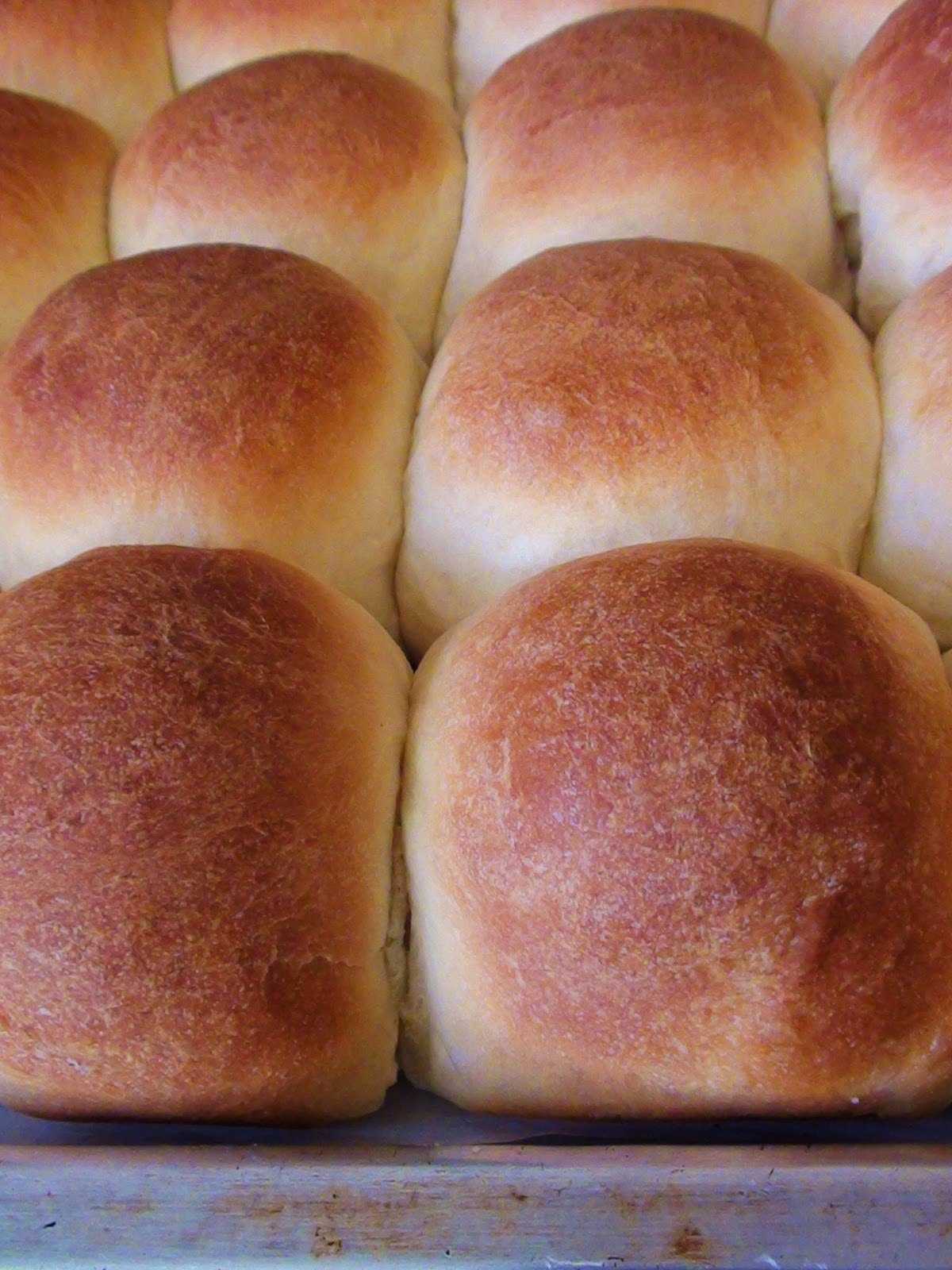 zsuzsa is in the kitchen: BUTTER ROLLS