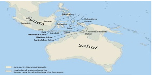 mega: geologi dan geomorfologi pulau papua