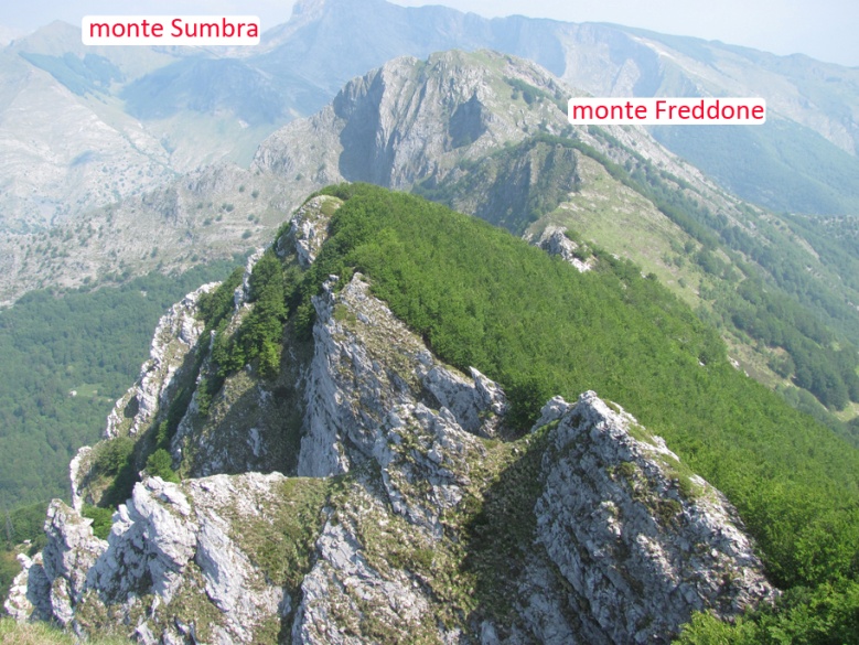 Escursionismo a 360°: Monte Corchia (dal crinale nord dell’anticima) EE