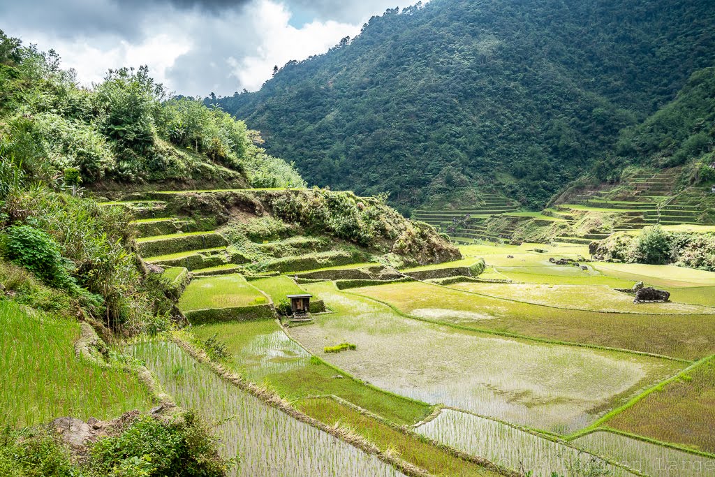 De loin en large: septembre 2018