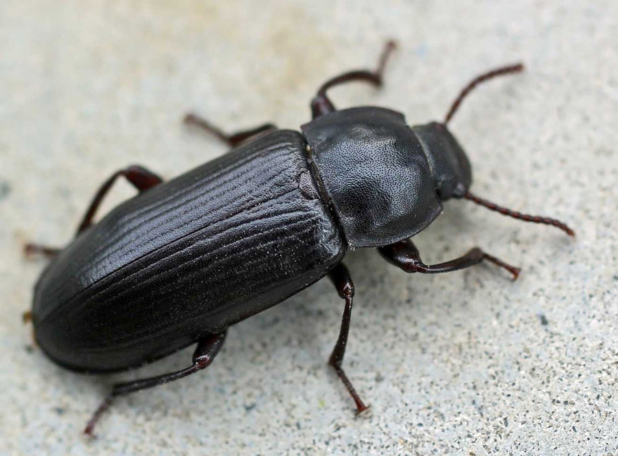 Nosotros los valencianos: Investigadores de la Universidad de Valencia ...
