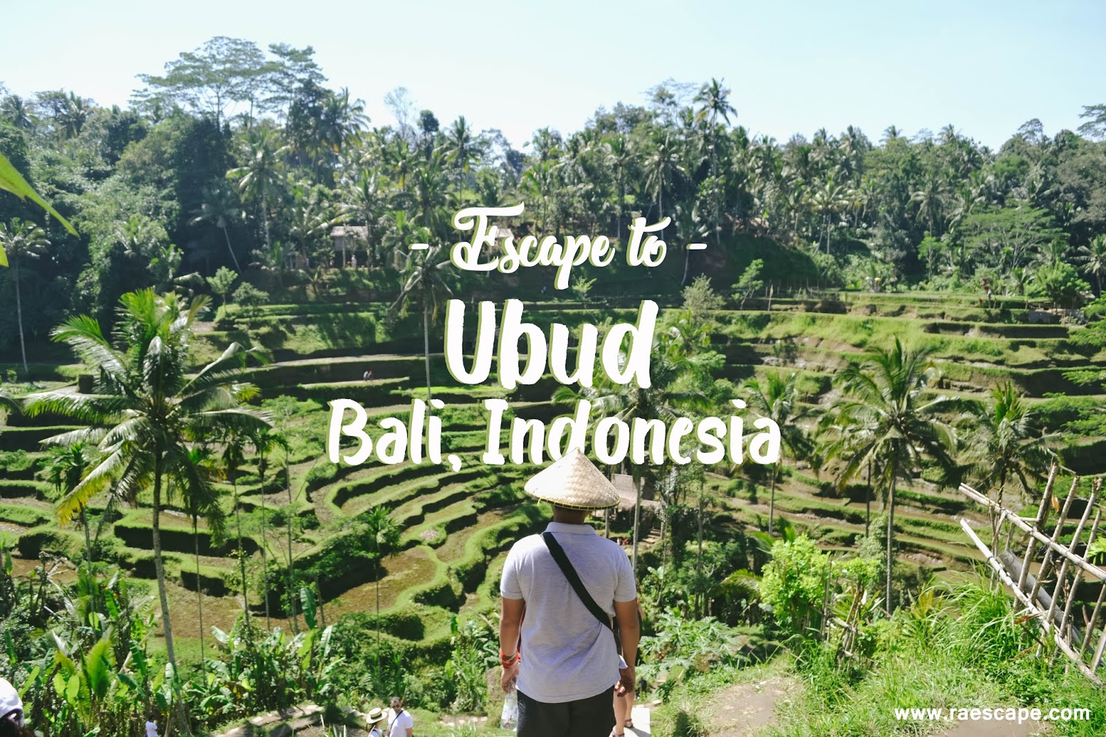 UBUD, BALI FOR FIRST TIMERS: Itinerary, Helpful Tips, and Budget for ...