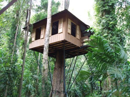 A Splash of Cola: Sleeping in a tree hut!