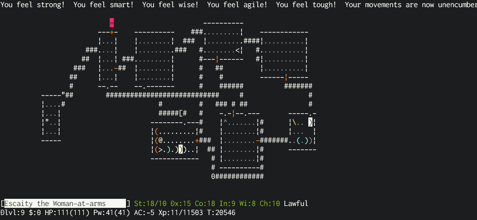[Junethack 2018] xNethackに挑戦 ⑦ ビッグルームからの・・・
