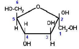 blog-bioquimica: Carbohidratos