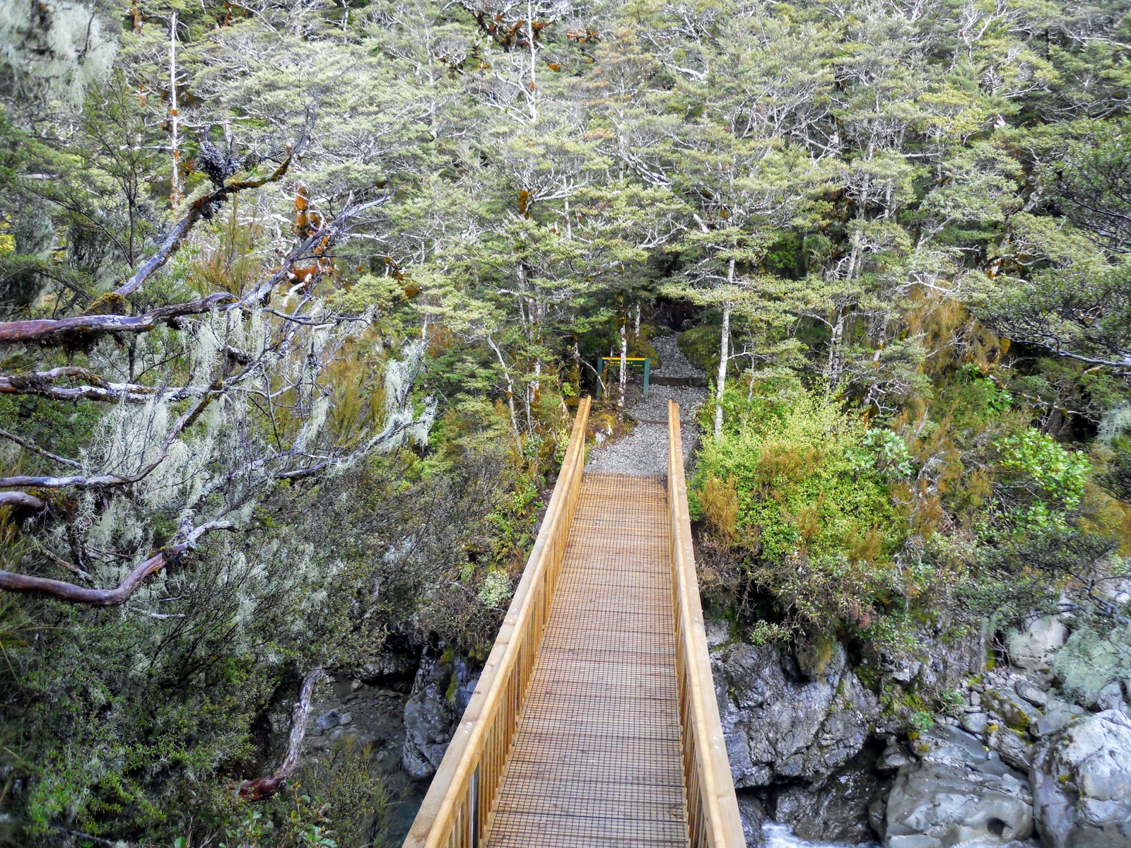 Arthurs Pass Adventures: Tramping in Arthurs Pass National Park: Short ...