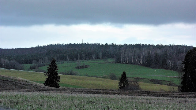 hagen vår: Mose, grønn skog og grønt landskap