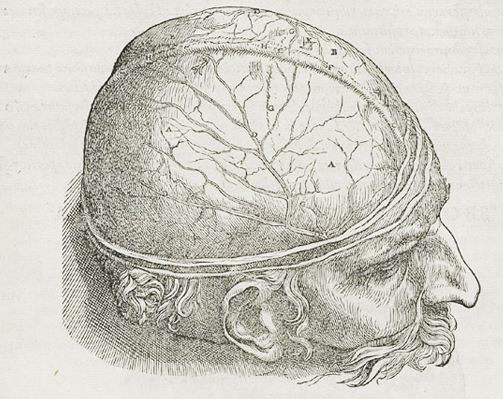 bensozia: Medieval and Renaissance Brains