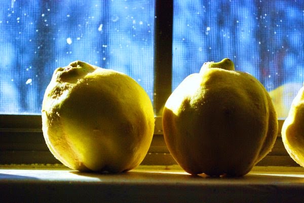 Zvezdani(n) dnevnik: Žute dunje.....Jupiter u Vagi inkonjukcija Kiron u ...