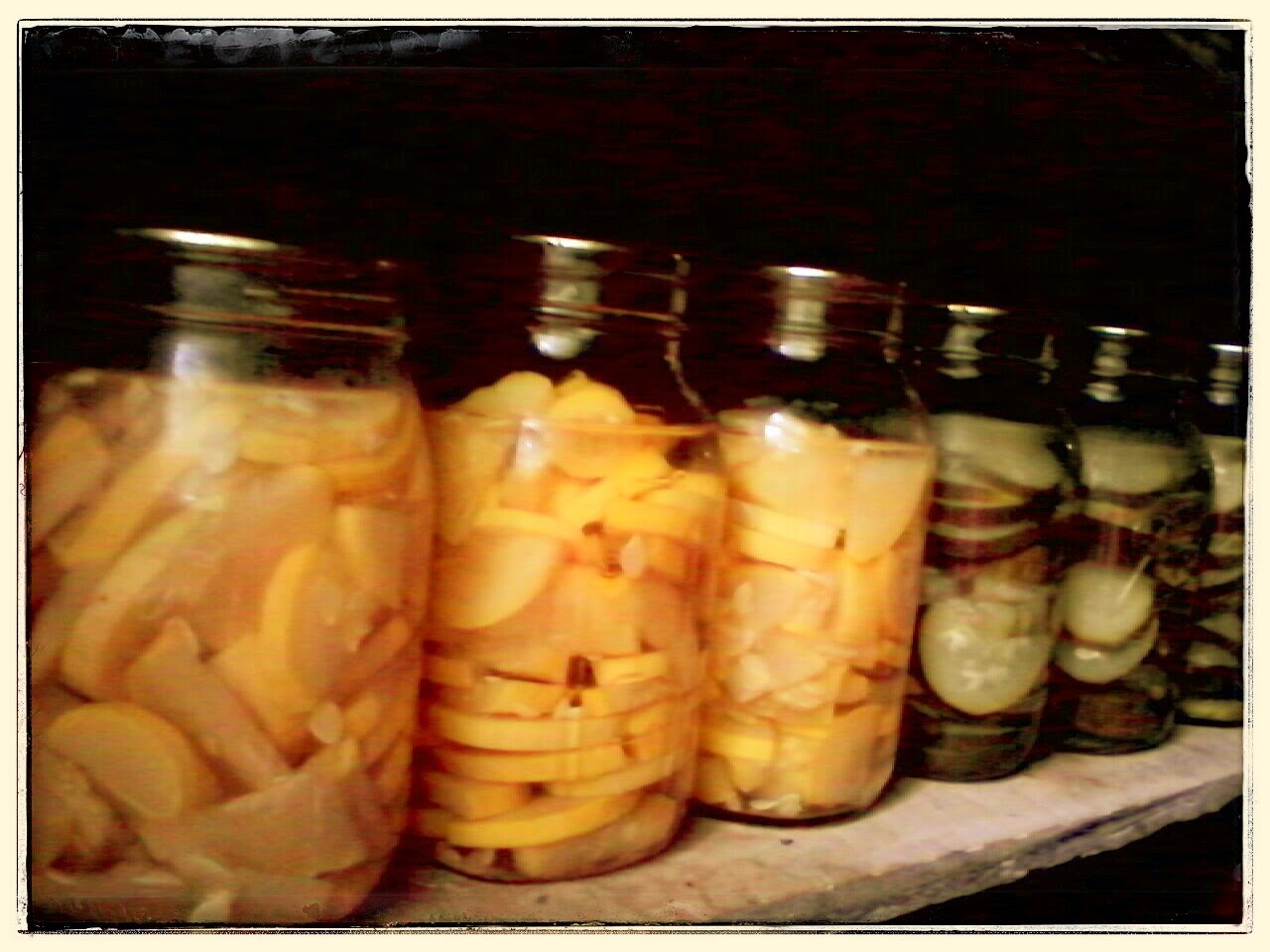 Home-Made-Home: Canning Summer Squash.