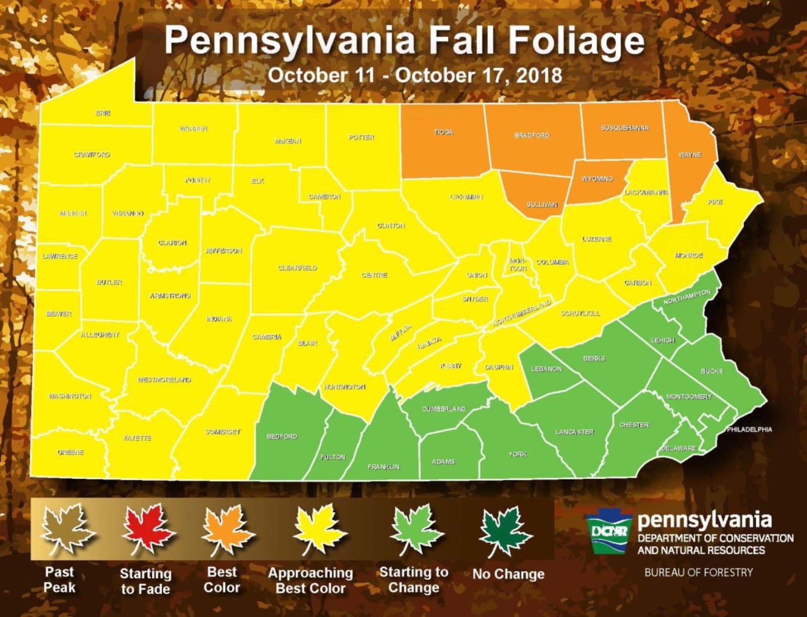 PA Environment Digest Blog: Week 3 - Fall Foliage Report: Warmer Temps ...