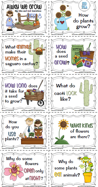 Sailing Through 1st Grade: Unit 8 Open Court Imagine It! Support Materials