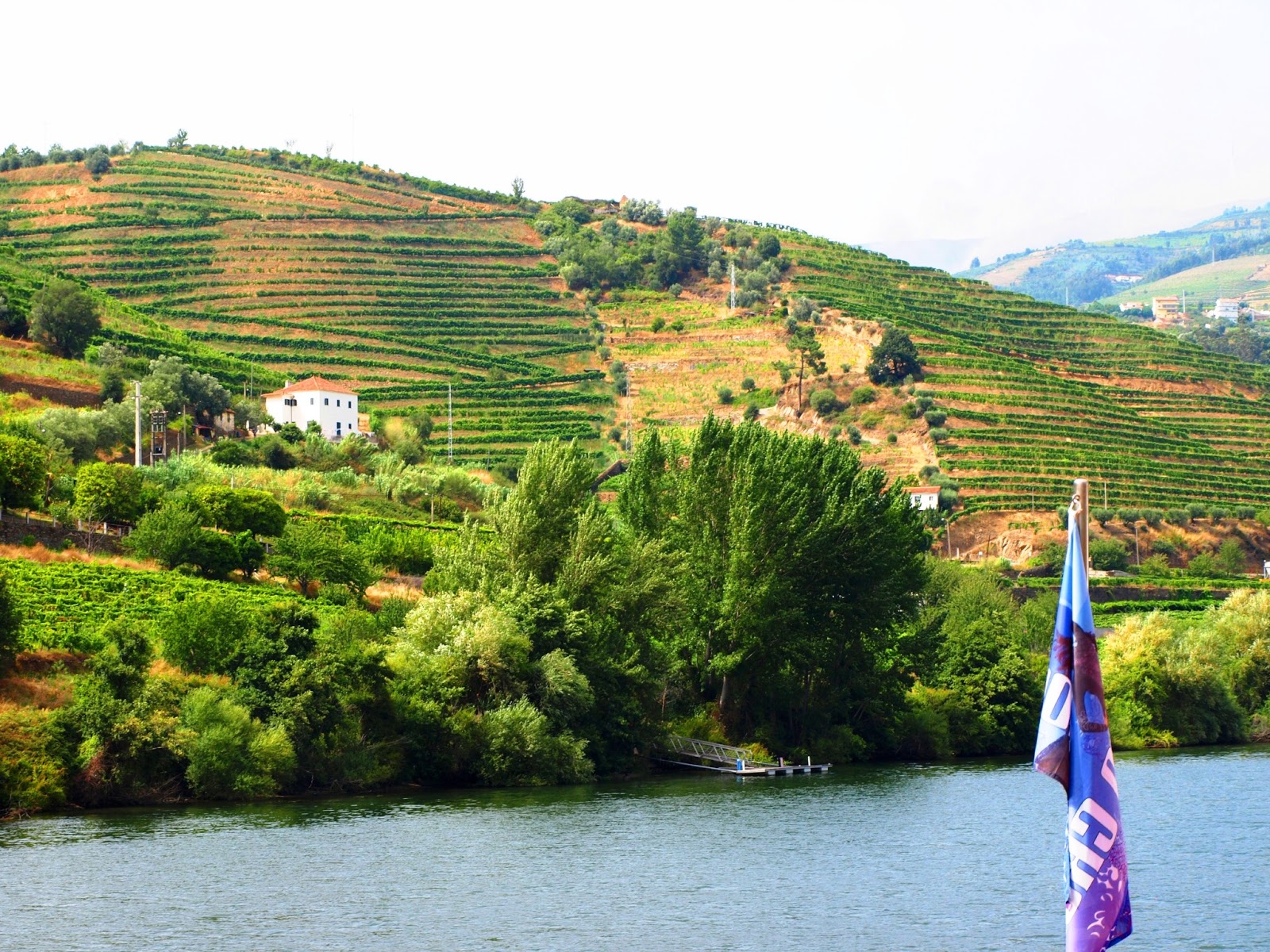 Eu photografei!: Parque do Douro Internacional