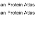 Human Protein Atlas