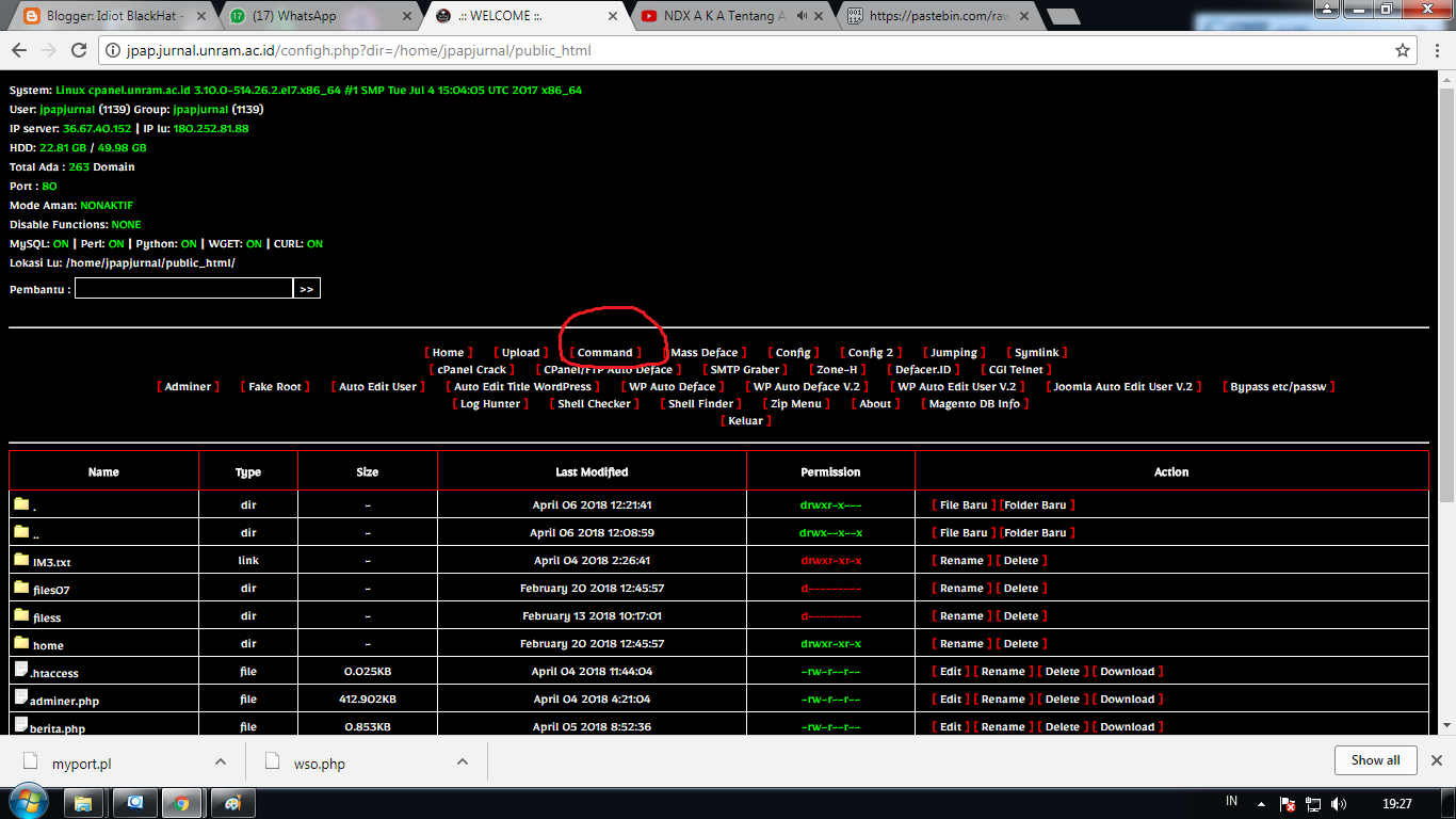 Tutorial Socket Server With Perl Idiot Blackhat